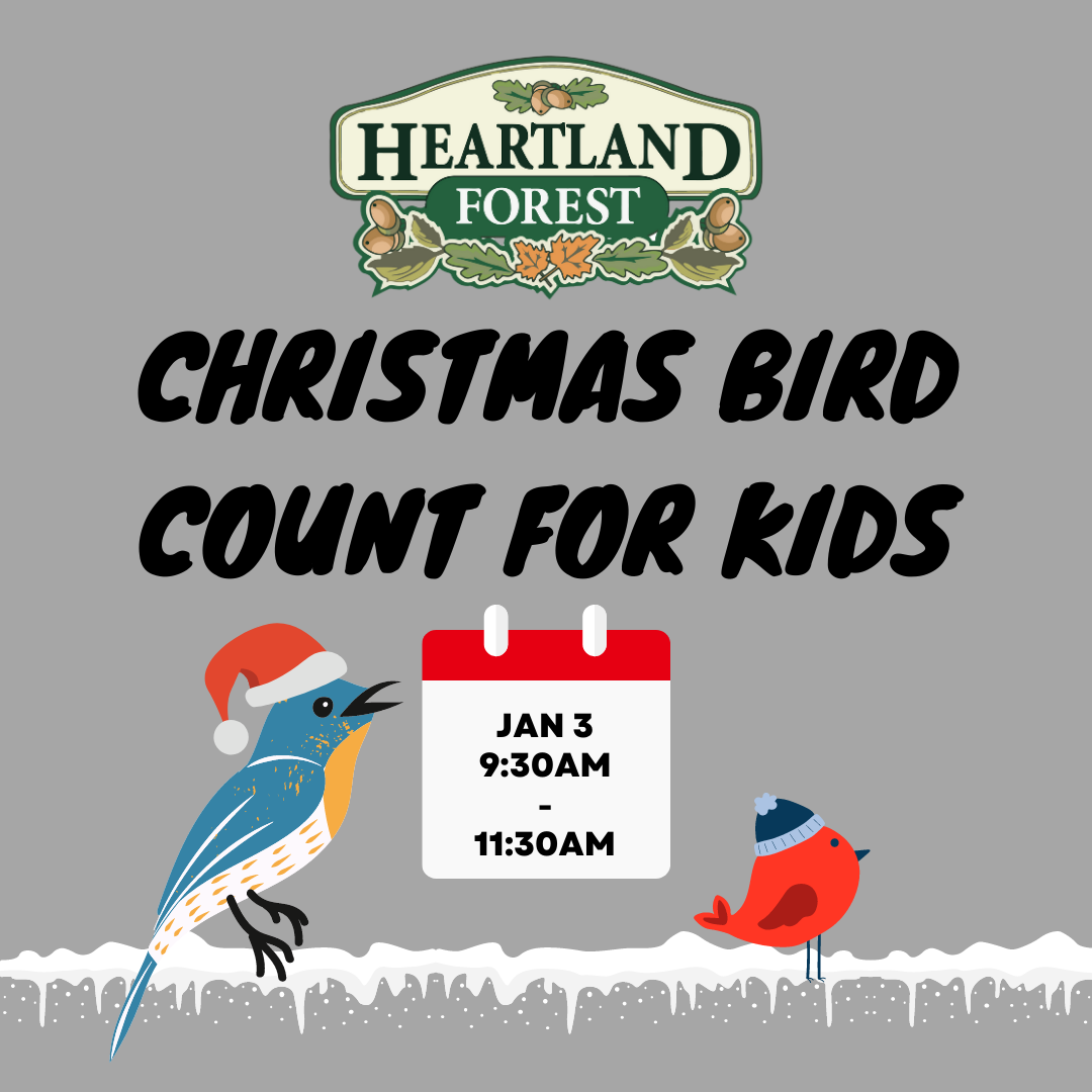Christmas Bird Count for Kids at Heartland Forest | Heartland Forest ...