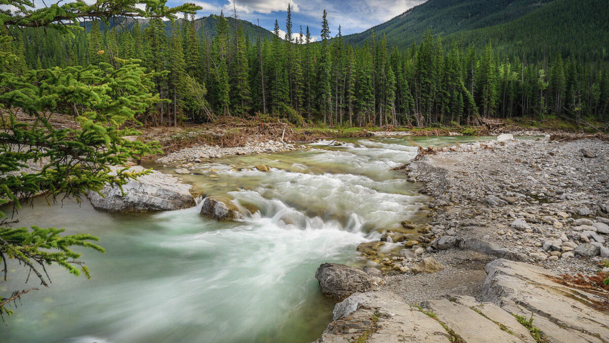 7 Ideas For a Day Trip From Calgary in June