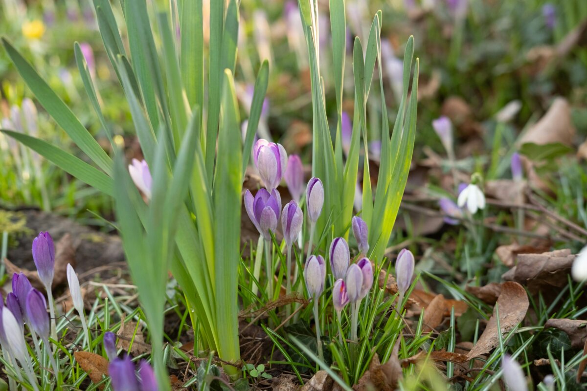 10 Outdoor Spaces to Enjoy Spring in Winnipeg