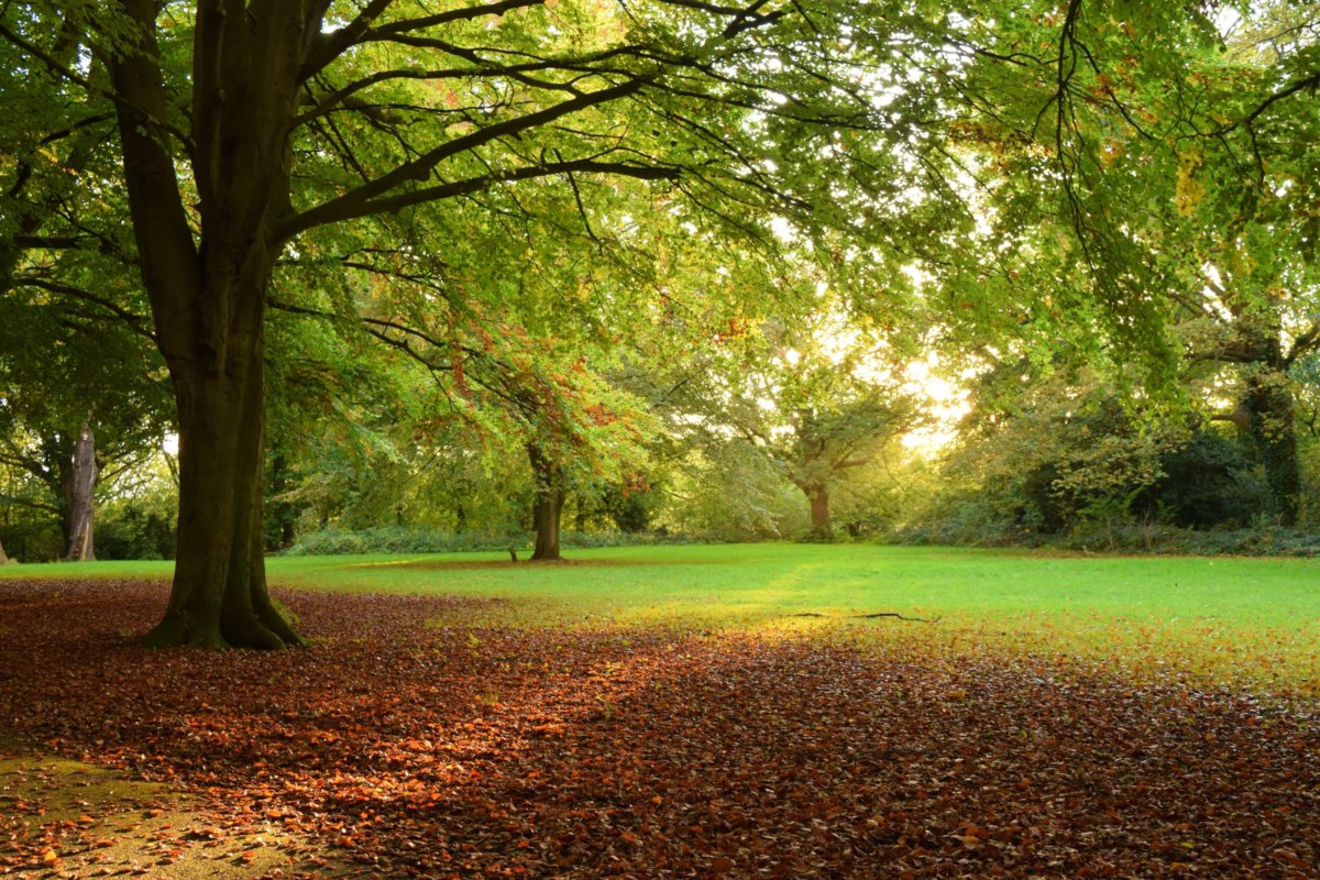 15 Parks to Enjoy a Picnic in Regina