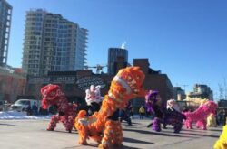 Things to Do in Calgary in January | To Do Canada