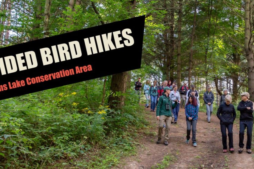 Guided Bird Hikes at Valens Lake