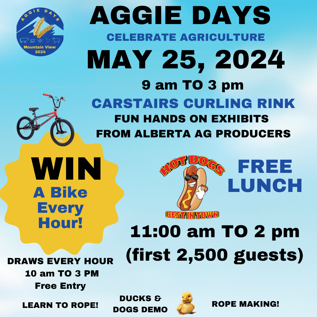 Aggie Days Mountain View