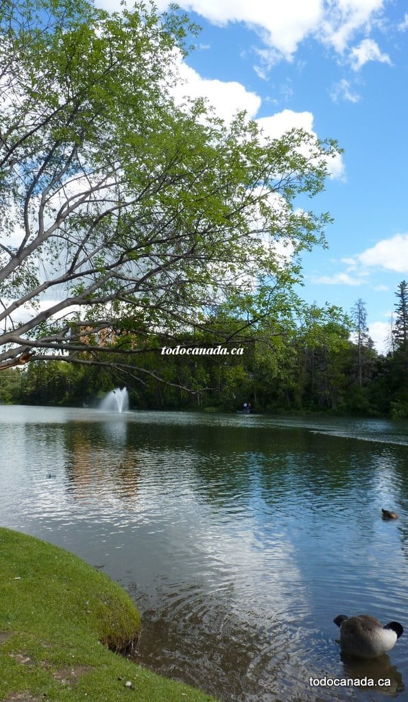 Bowness Park Calgary : A Trip Guide