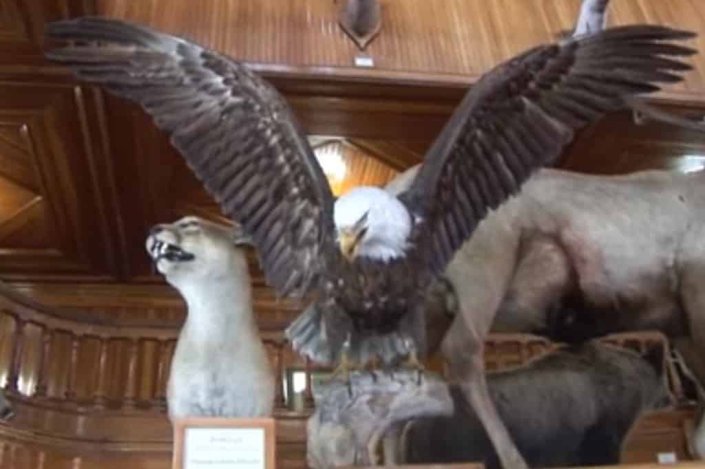 Banff Park Museum, National Historic Site of Canada