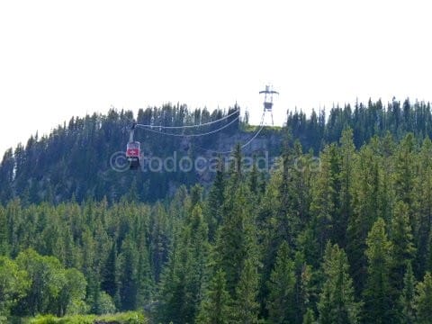Jasper SkyTram Jasper National Park