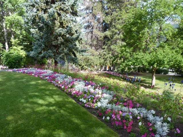 Cascade Gardens Banff National Park