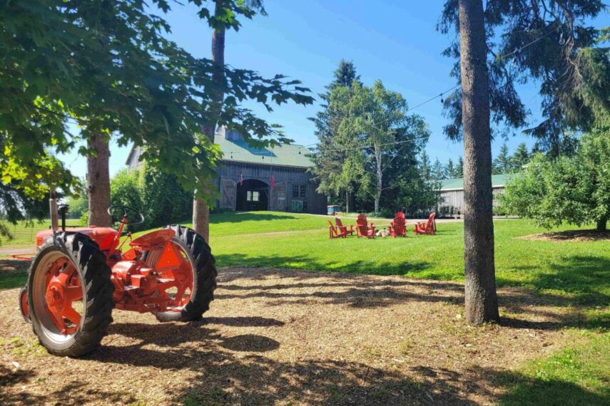 Ontario Weekend Tree Farm Experience