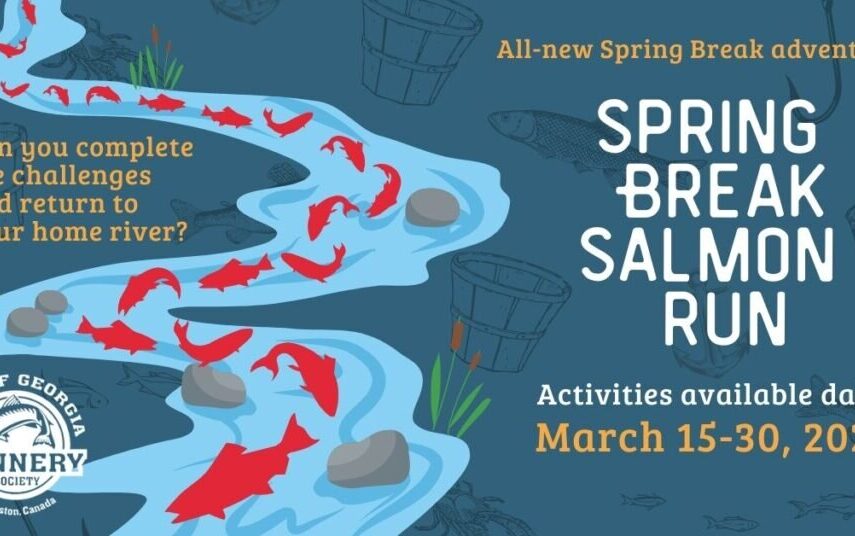 Spring Break Salmon Run