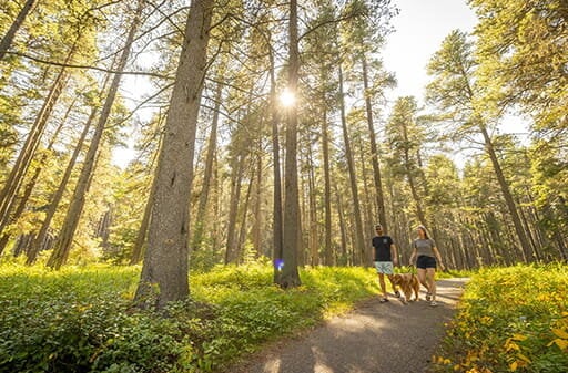 Sask Parks Marks National Trails Day With Free Admission