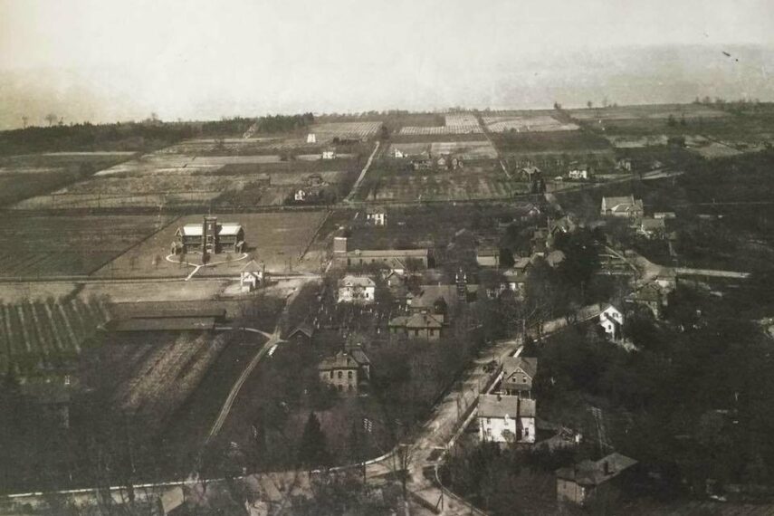 Nelles Manor Neighbourhood Walk