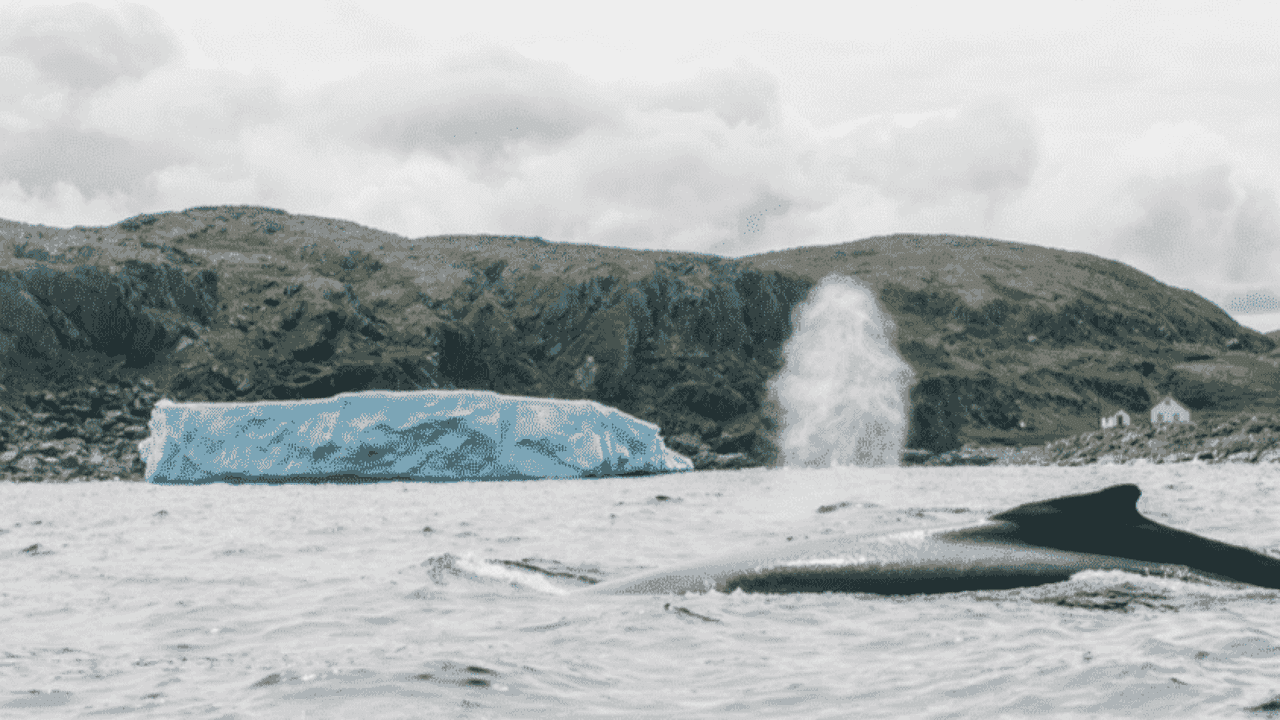 Which Provinces Occupy The Labrador Peninsula