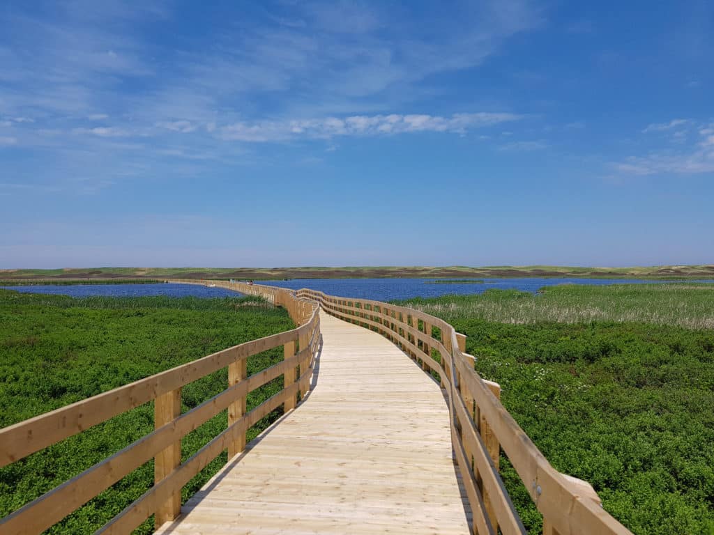 25 Things to Do During Spring on Prince Edward Island