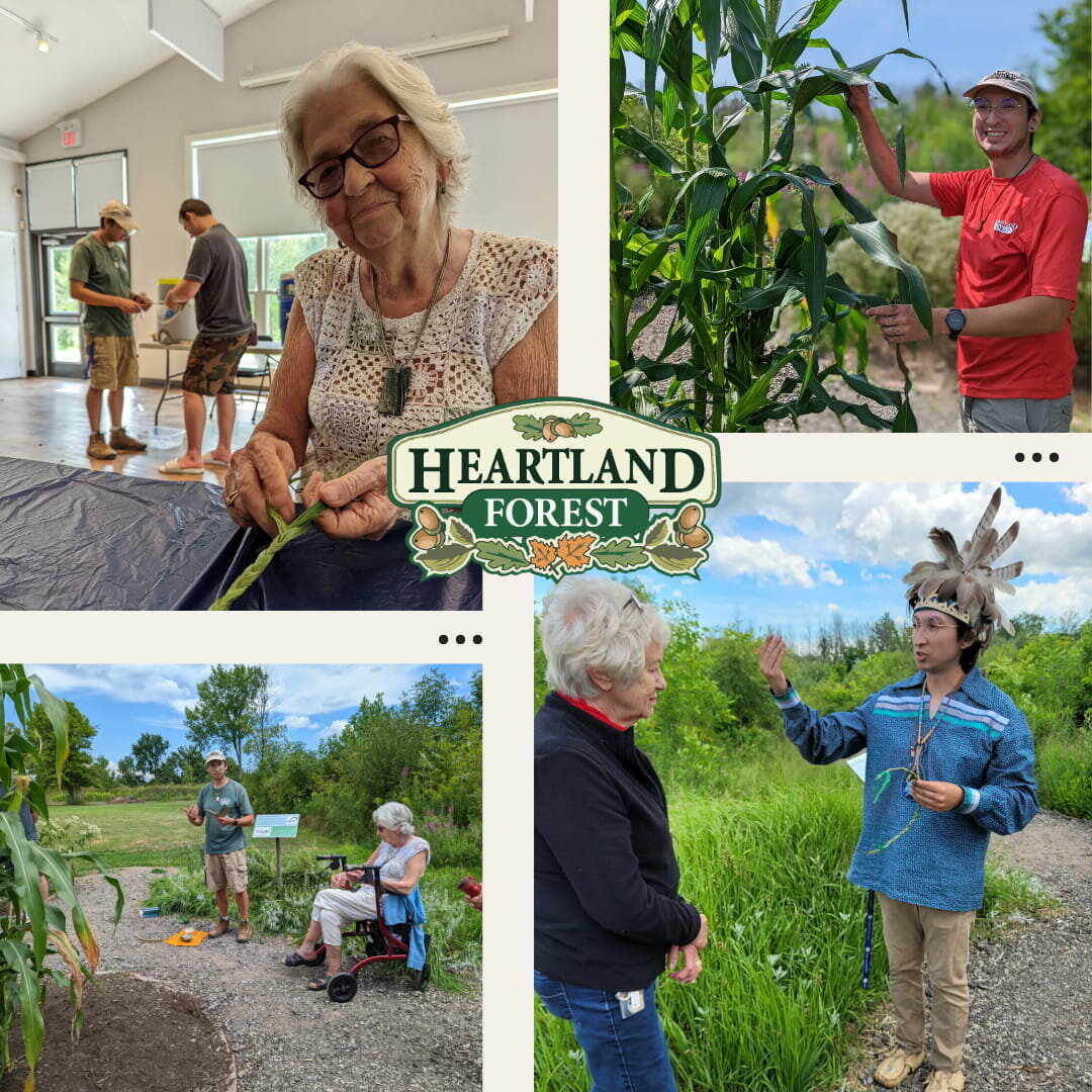 Medicine Walk and Sweetgrass Braiding Workshop