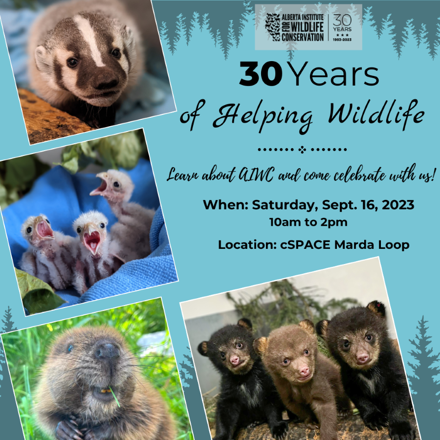 30 Years of Helping Wildlife