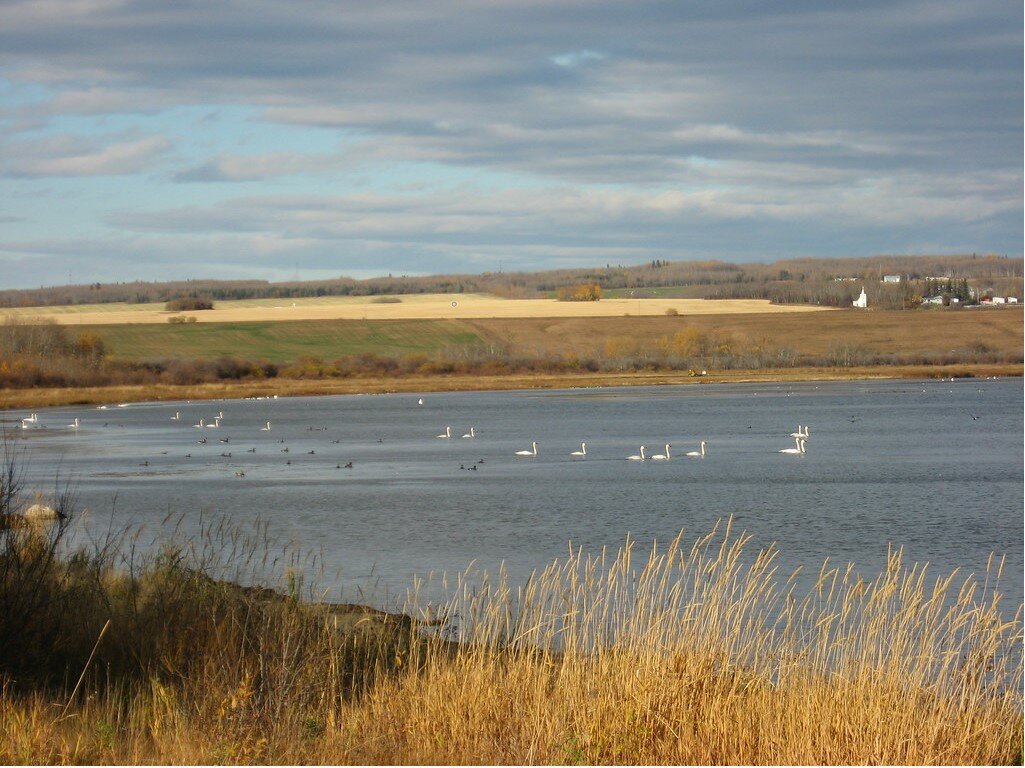 4 Reasons to Visit Saskatoon Island Provincial Park