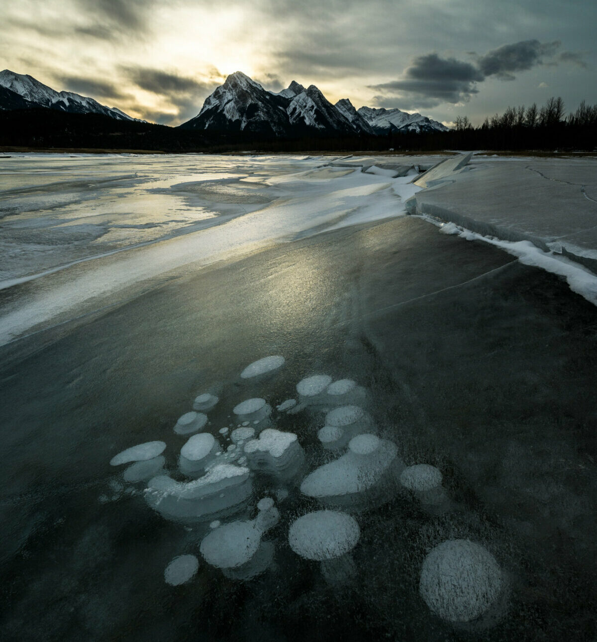 5 Ways to Explore Gorgeous Ice Bubbles of Abraham Lake in Alberta