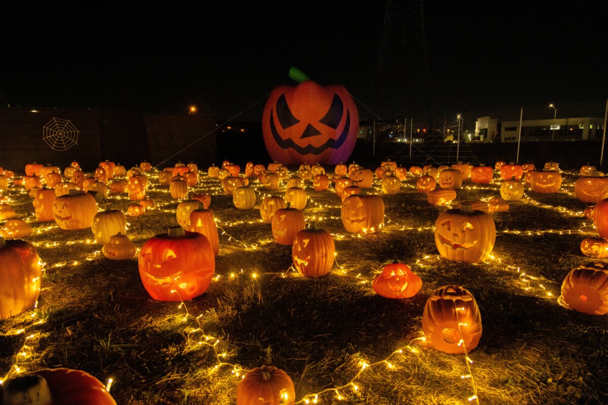 Illumi Mississauga Turns Spooktacular with a Dazzling Halloween Show ... Illumi Mississauga Turns Spooktacular with a Dazzling Halloween Show ...