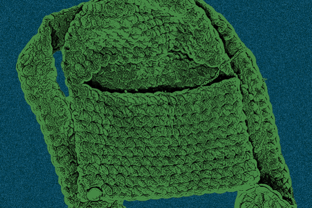 Camoufly