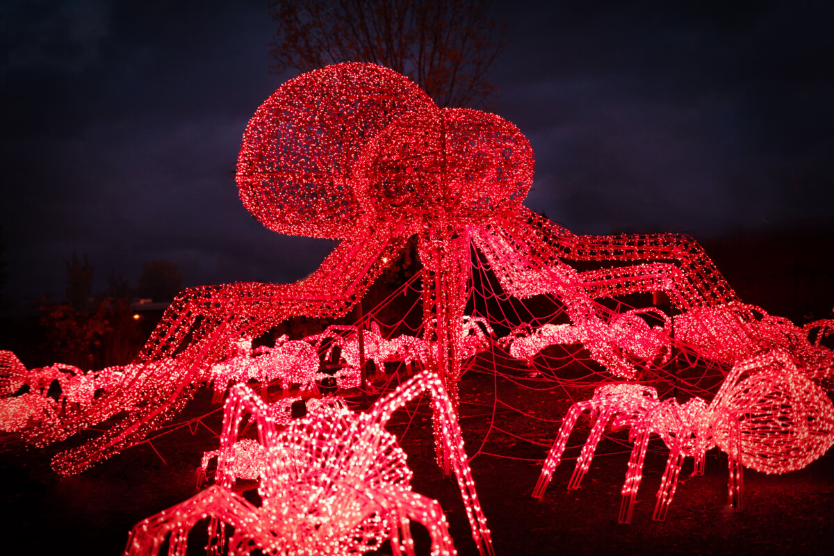 Illumi Mississauga Returns With Spooktacular Halloween Spectacle This ... Illumi Mississauga Returns With Spooktacular Halloween Spectacle This ...