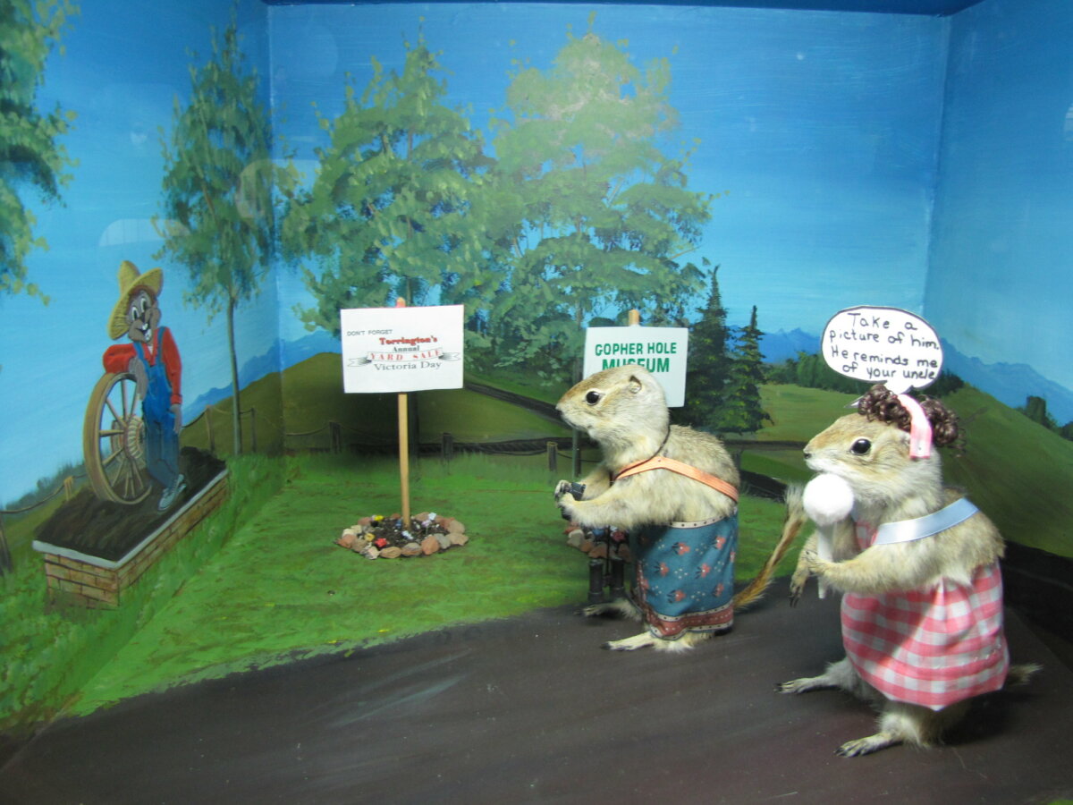 A Day at the World Famous Gopher Hole Museum: Picnics, Photos, and ...