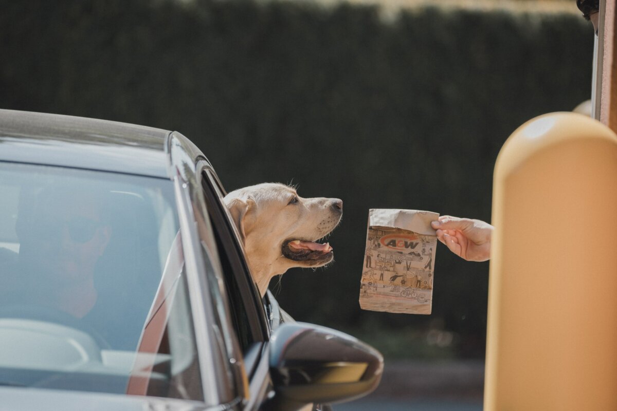 Drive Thru: A&W Debuts Pup Patty Supporting Service Dogs Across Canada