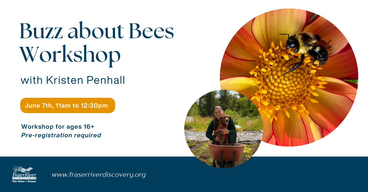 Buzz about Bees Workshop