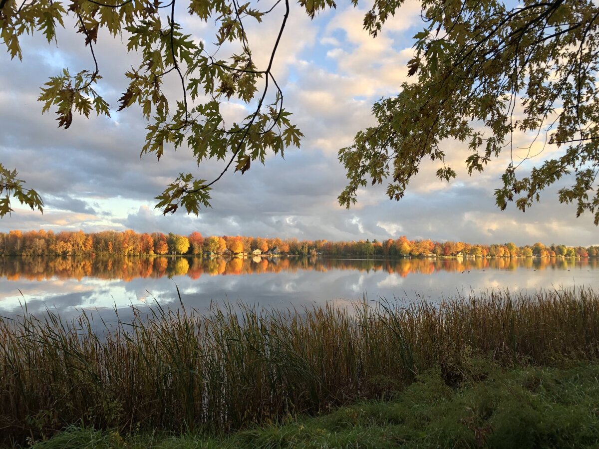 Adventures at Rideau River Provincial Park: Hike, Fish, Paddle, and ...
