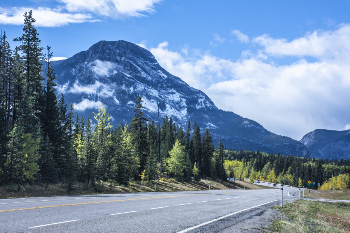 Alberta to Add Citizenship Status to Driver’s Licenses and ID Cards
