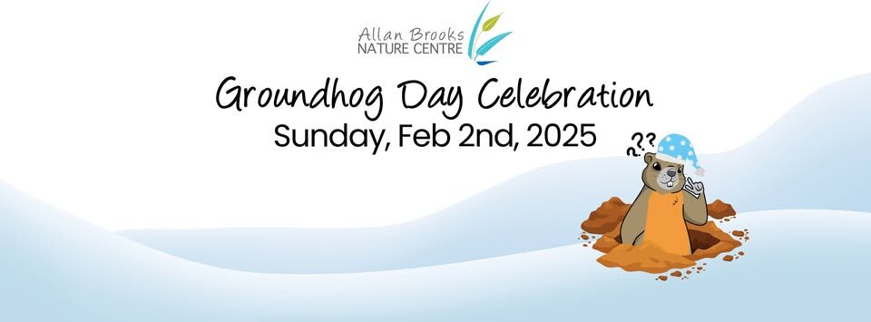 Okanagan Okie – Groundhog Day at Allan Brooks Nature Centre