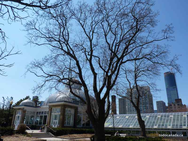 Allan Gardens Conservatory