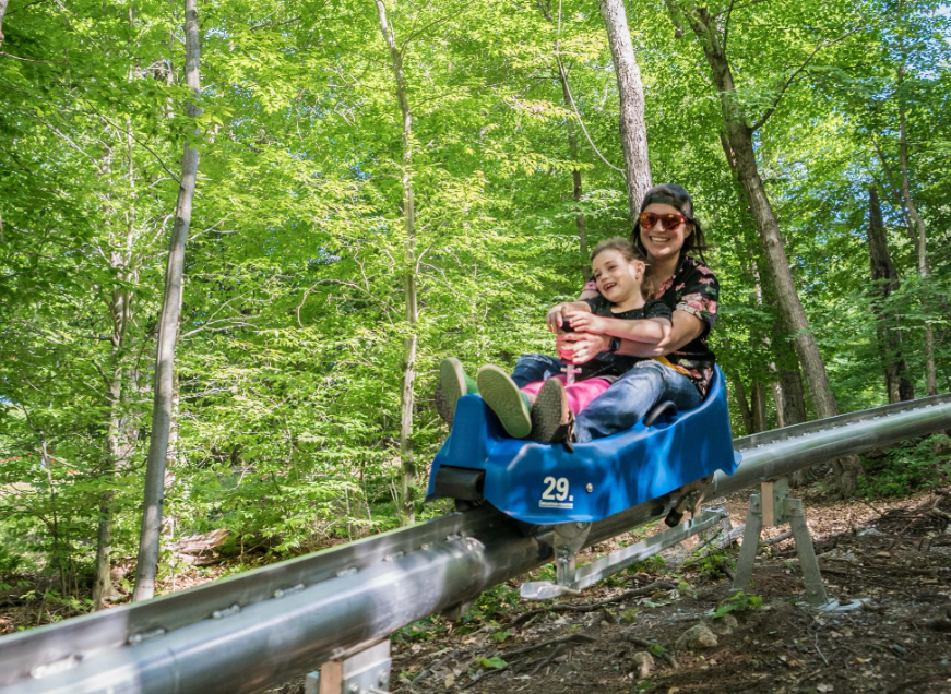 Red Deer’s Canyon Coaster Opens For Thrilling Summer Rides Down the Ski ...