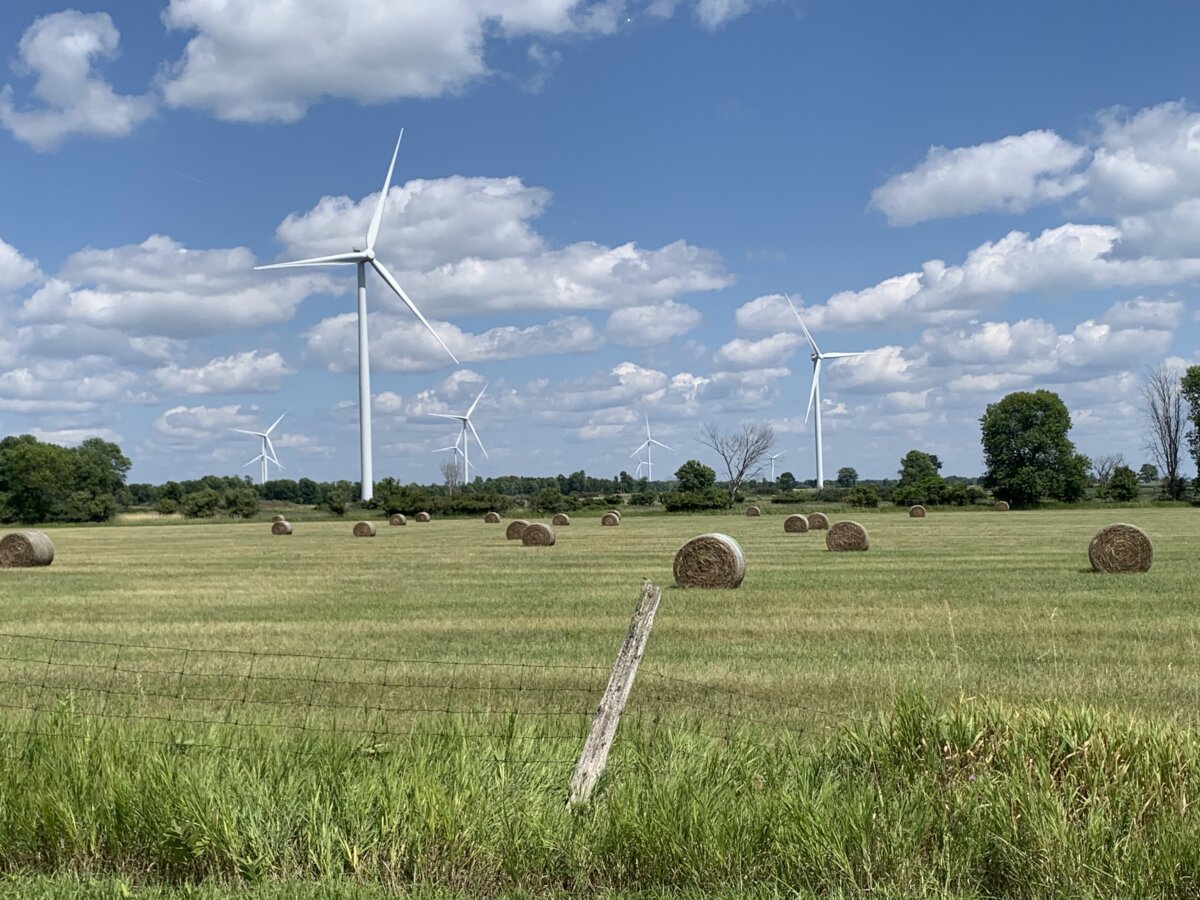 Summer Escape on Amherst Island: Scenic Drive and Tranquil Shorelines