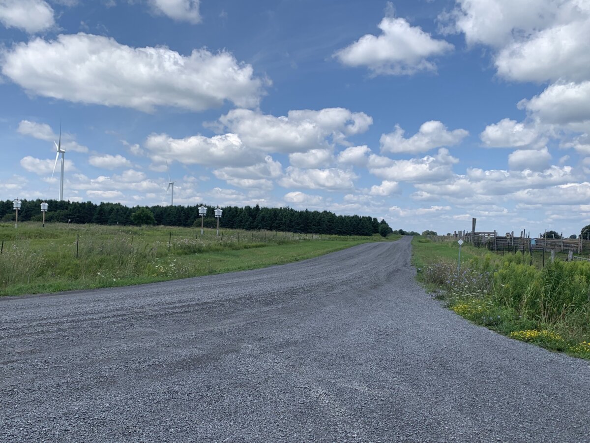 Summer Escape on Amherst Island: Scenic Drive and Tranquil Shorelines