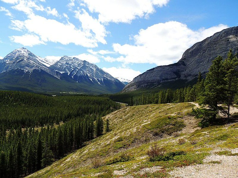 An Overview of Crown Camping in Alberta