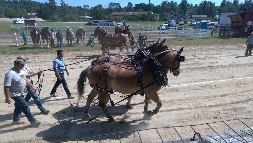 Armour, Ryerson & Burk’s Falls Fall Fair