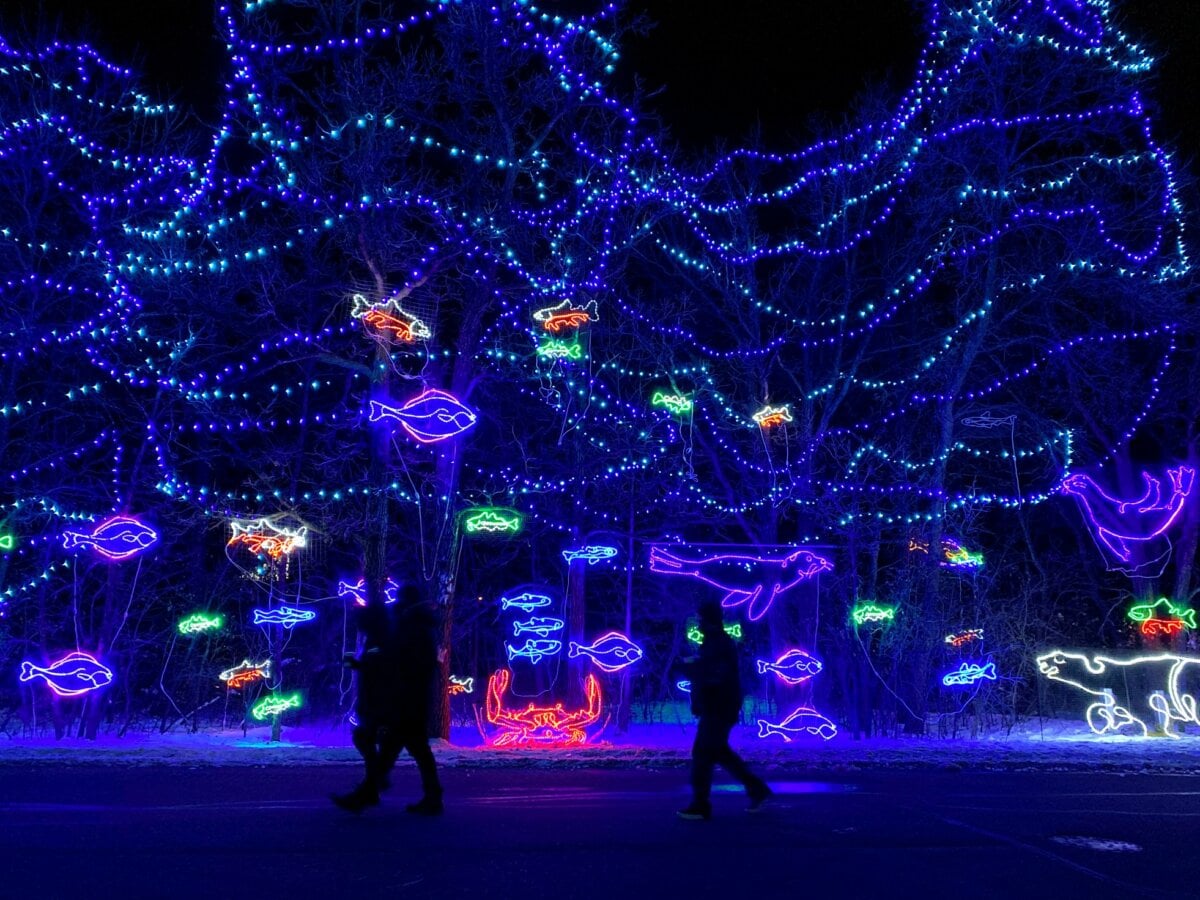 Mesmerizing Christmas Light Festival Returns to Assiniboine Park Zoo This December | To Do Canada