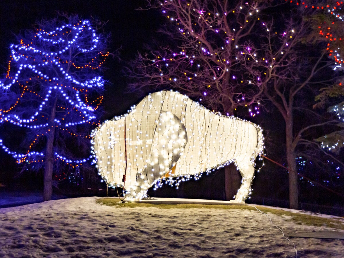Mesmerizing Christmas Light Festival Returns to Assiniboine Park Zoo This Weekend