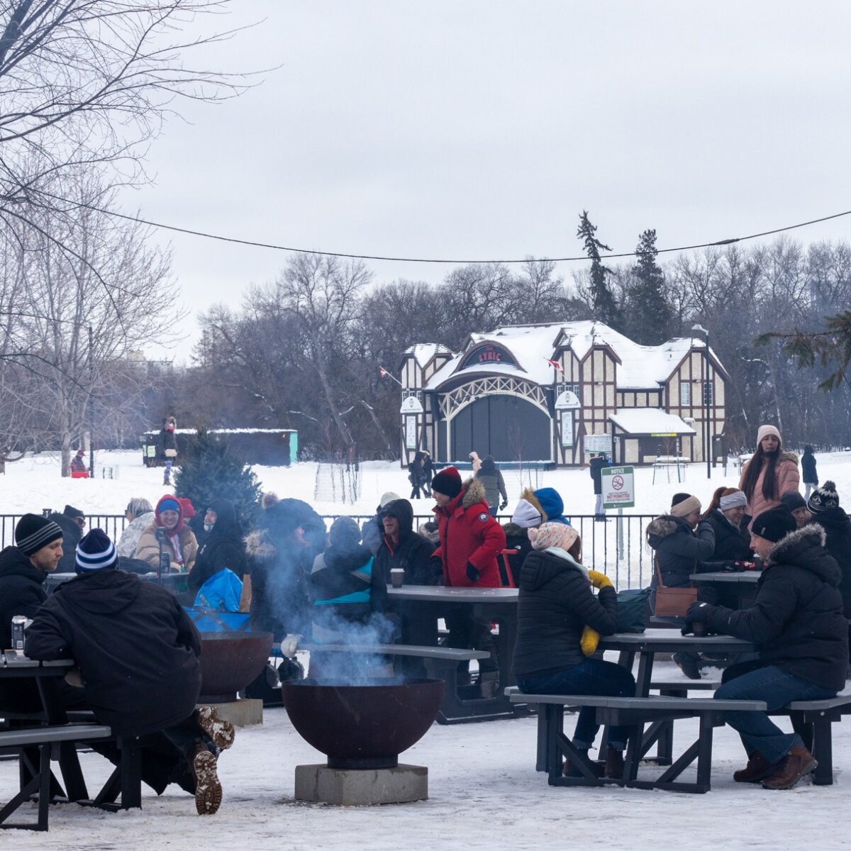 Frosty Fun: Top Things to This Winter in Assiniboine Park