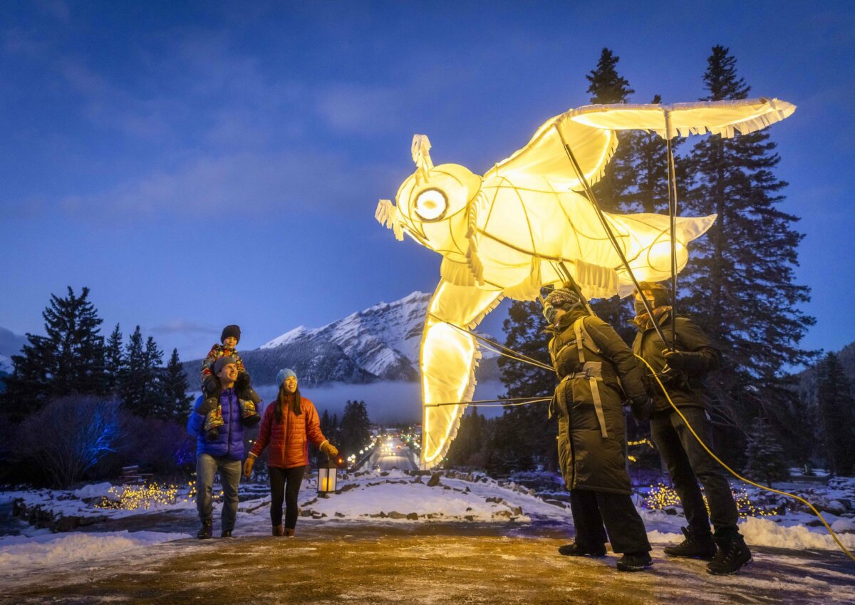 Where to See the Best Christmas and Holiday Light Displays in and ...