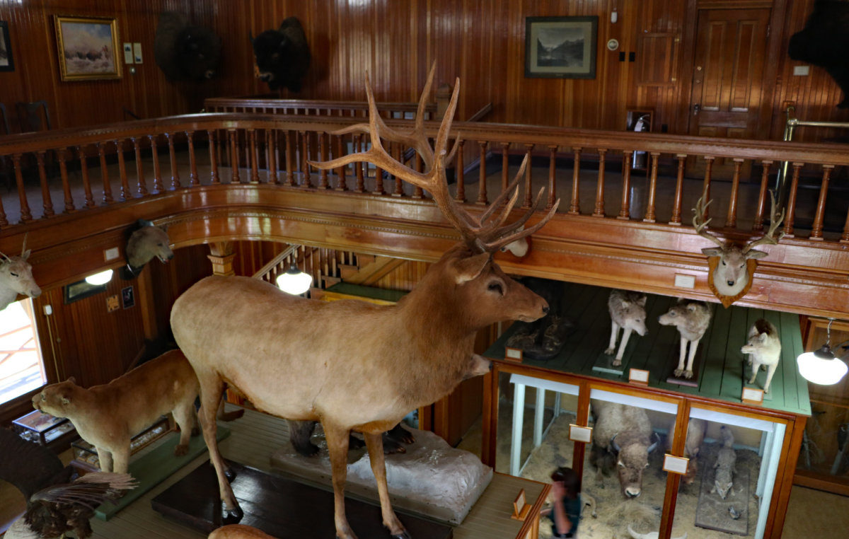 25 Unique Museums You Should Visit in Alberta