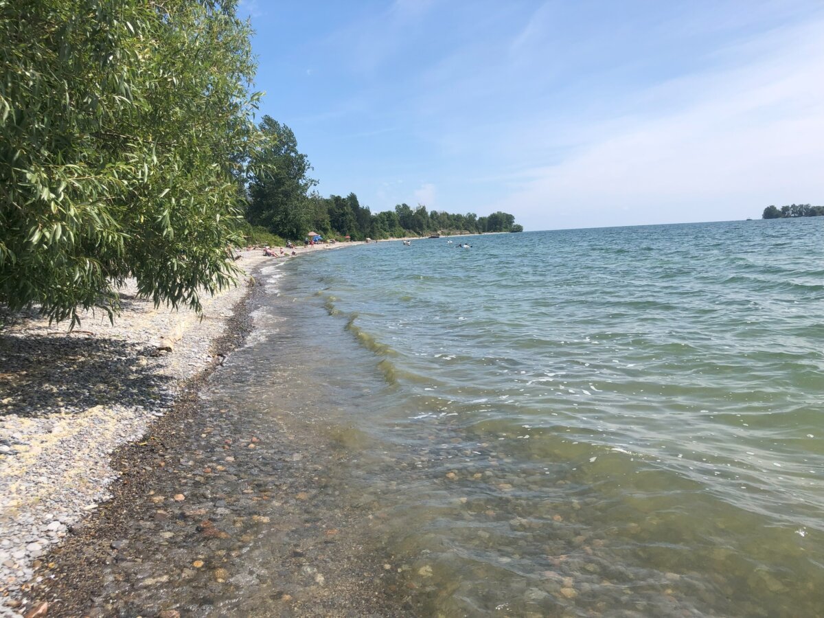 Summer Escape on Amherst Island: Scenic Drive and Tranquil Shorelines