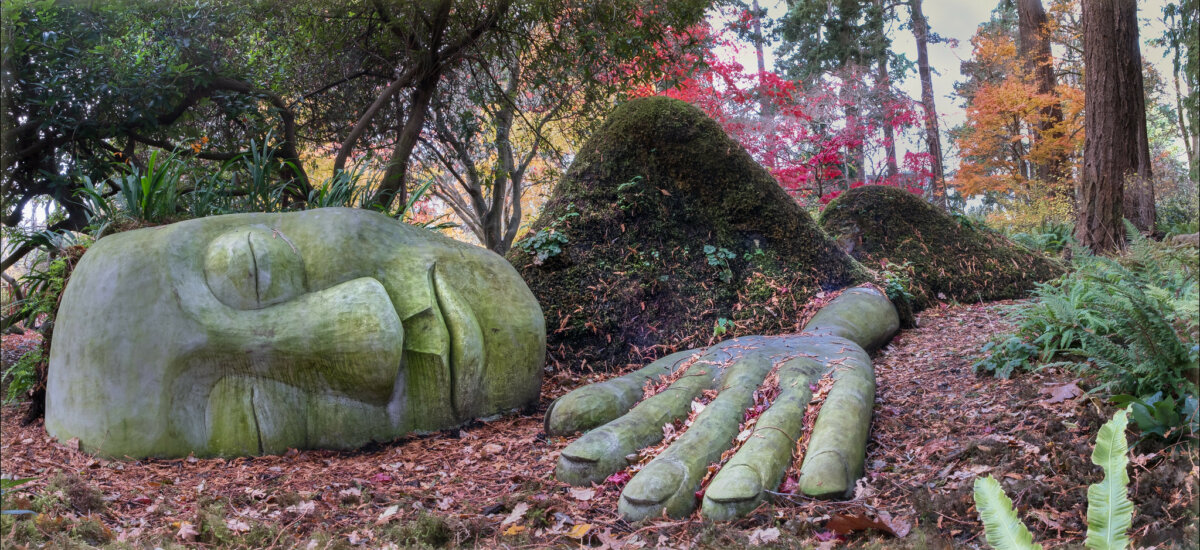 Beacon Hill Park: Explore the Park Home to Giant Moss Lady, Tallest ...