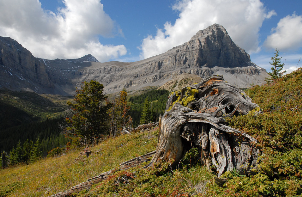 25 Day Trips From Calgary to the Canadian Rockies