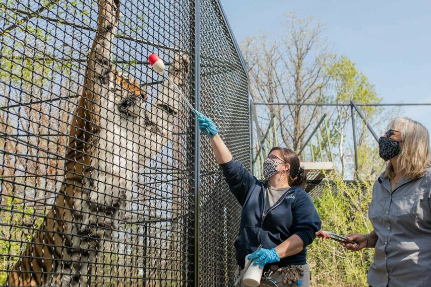 Behind the Scenes Zoo Tours