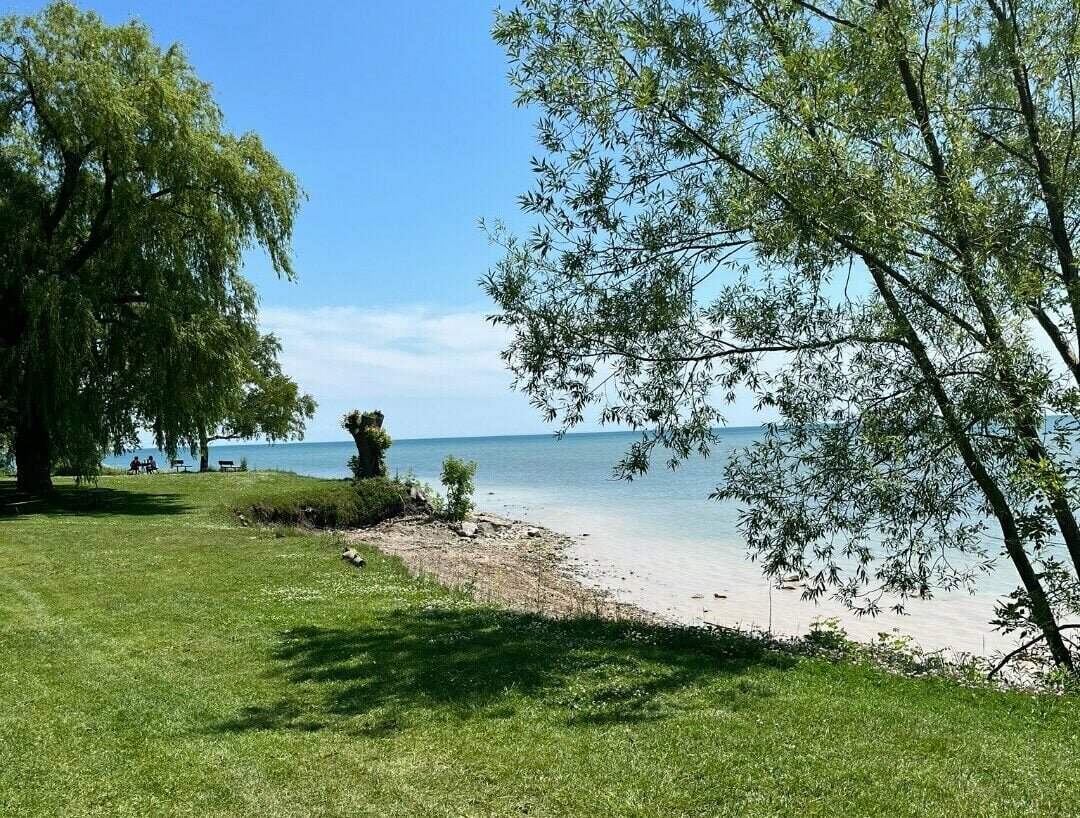 Best Things to Do at Selkirk Provincial Park