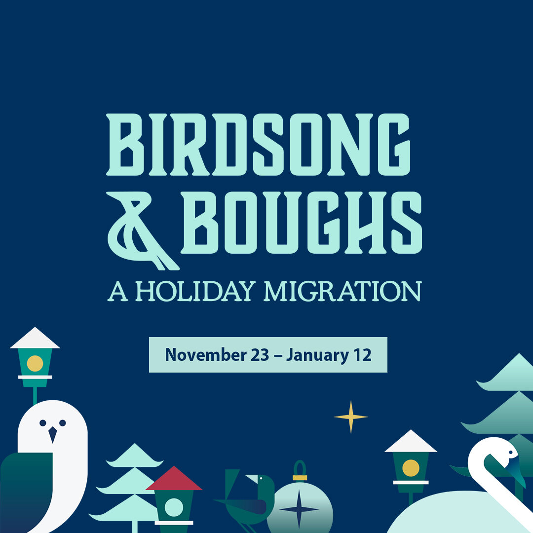 Birdsong & Boughs: A Holiday Migration