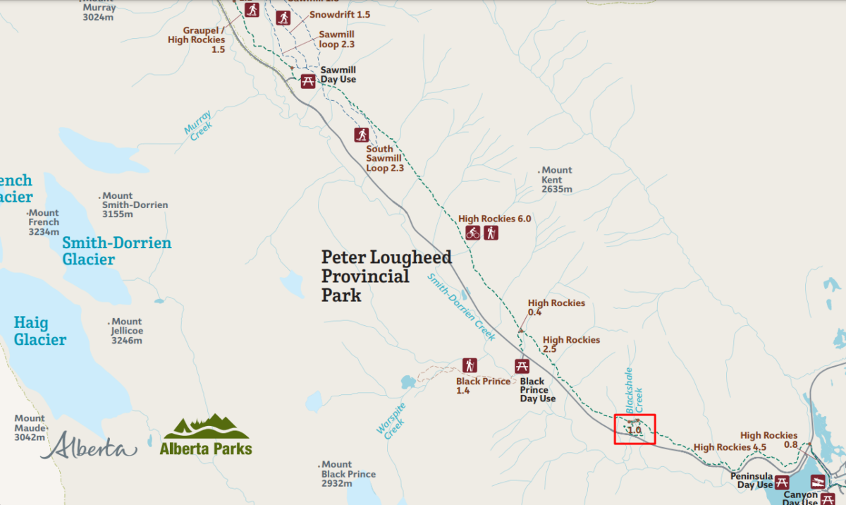 Day Trip From Calgary: Blackshale Suspension Bridge in Kananaskis Country