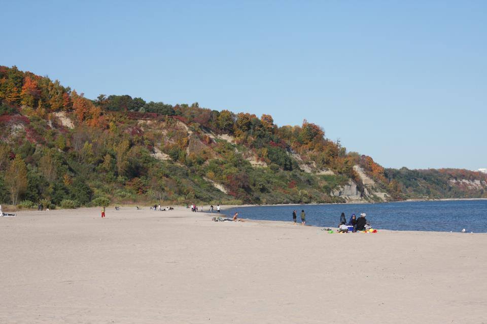 25 of the Best Hiking Trails in Toronto