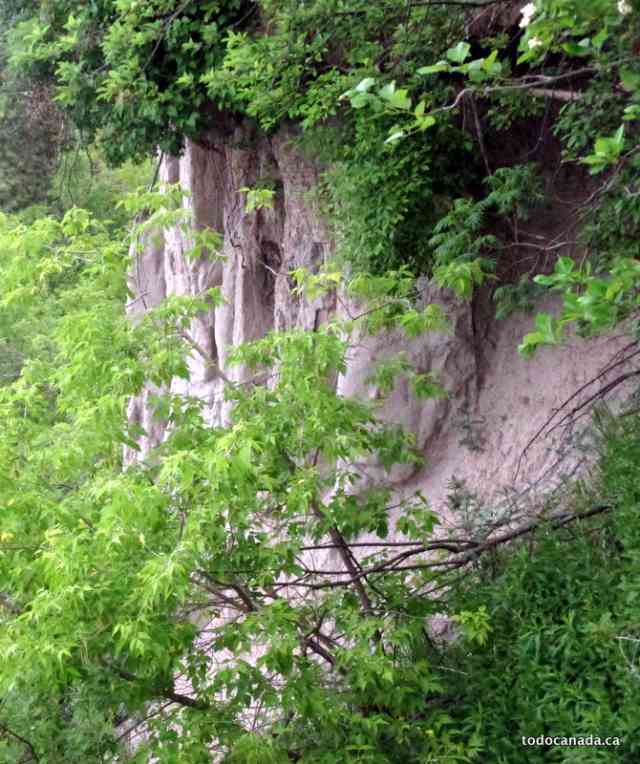 Guild Park & Gardens